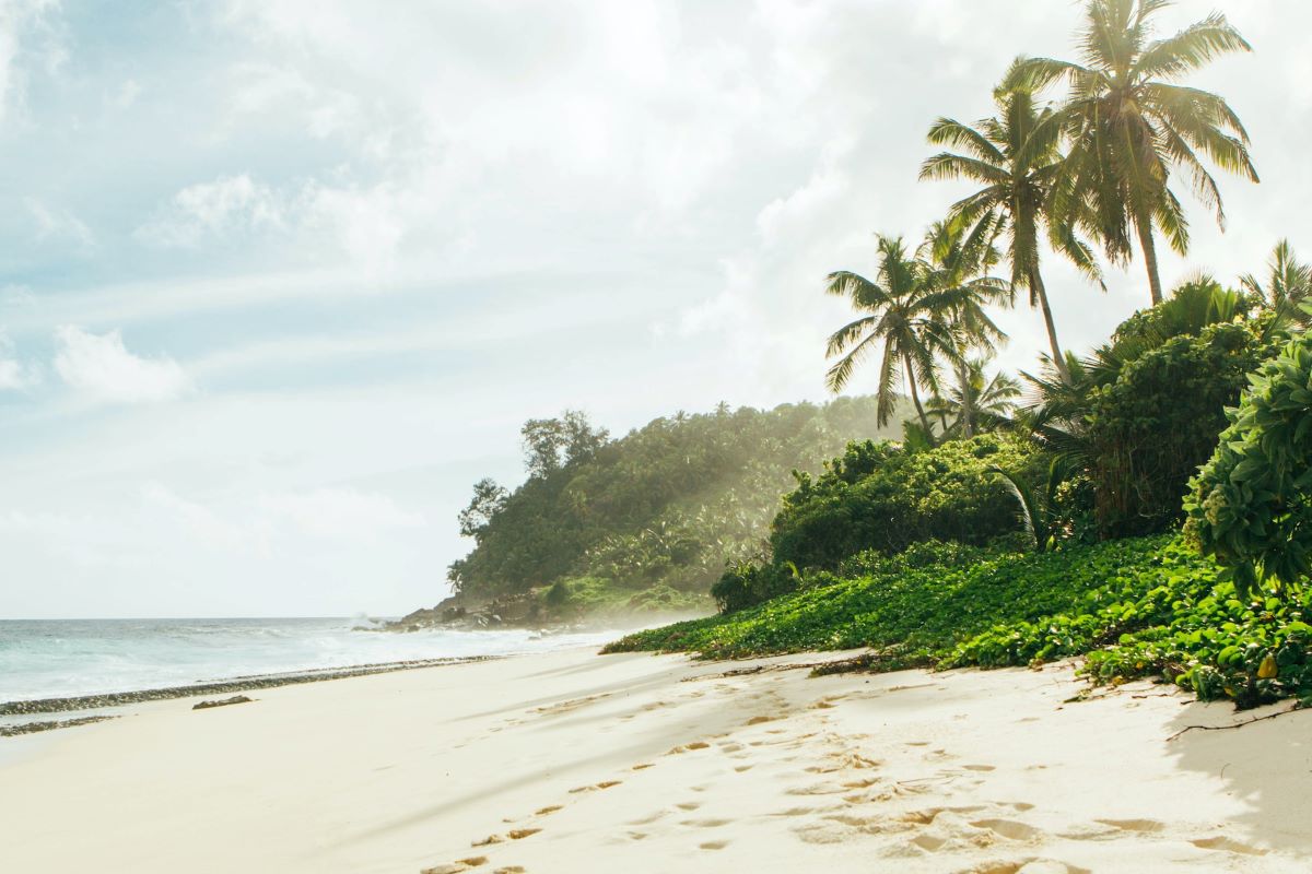 Top 4 des plus belles plages du Pérou - VoyageDemain.com